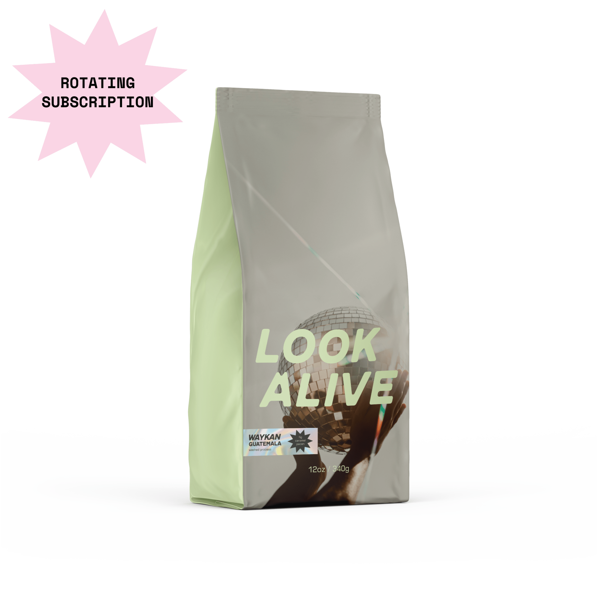 Look Alive Coffee | Specialty Coffee Roaster | Equipment & Training ...